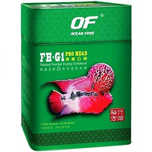 Fish Food - Buy Aquarium Fish food online