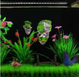Buy Aquarium Floating Rock online | Bunnycart